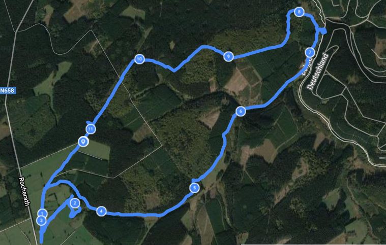 Tabanidae – walkingwithluc